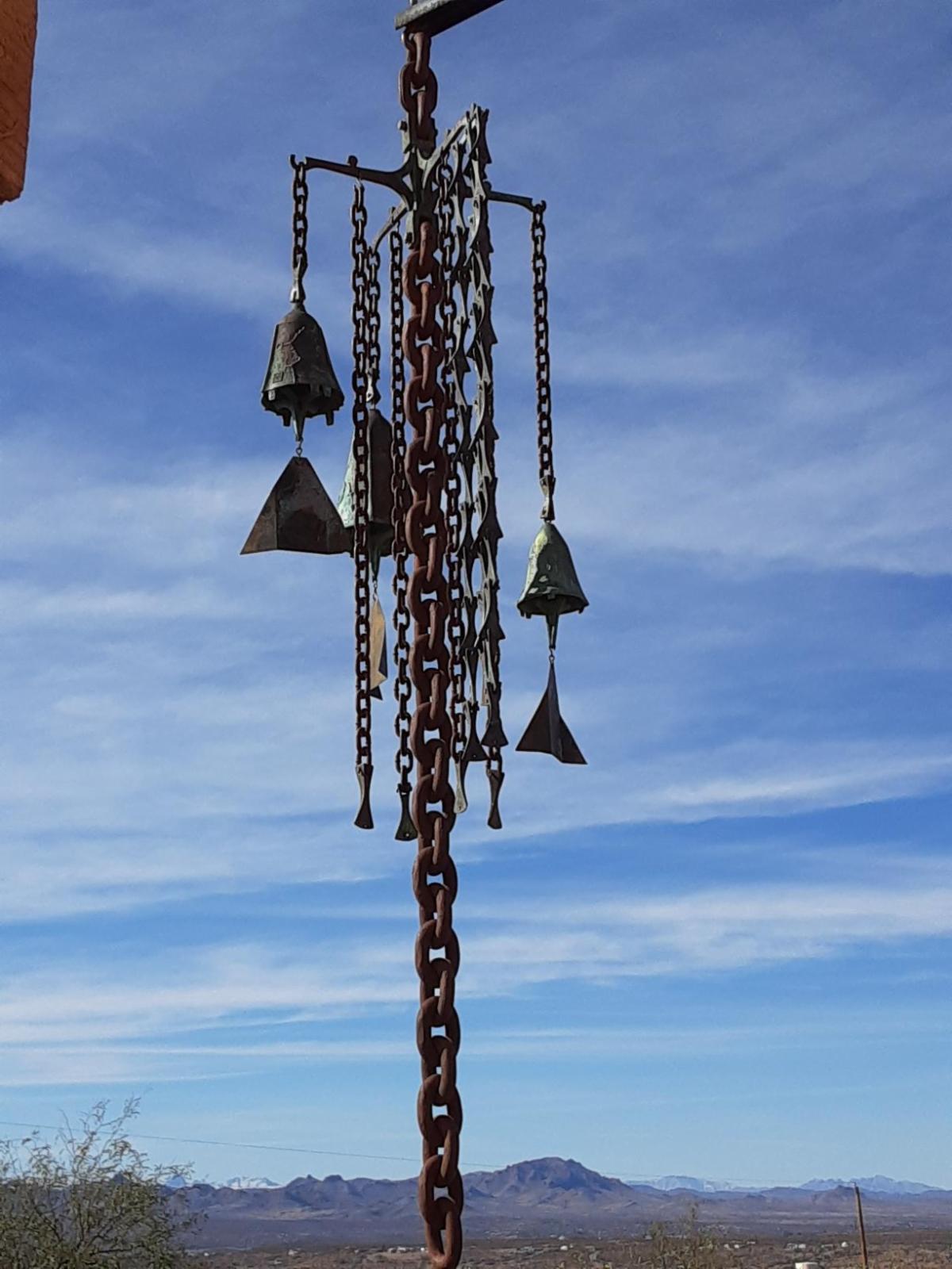 February 23rd, 2021 Newsletter – Cosanti Originals