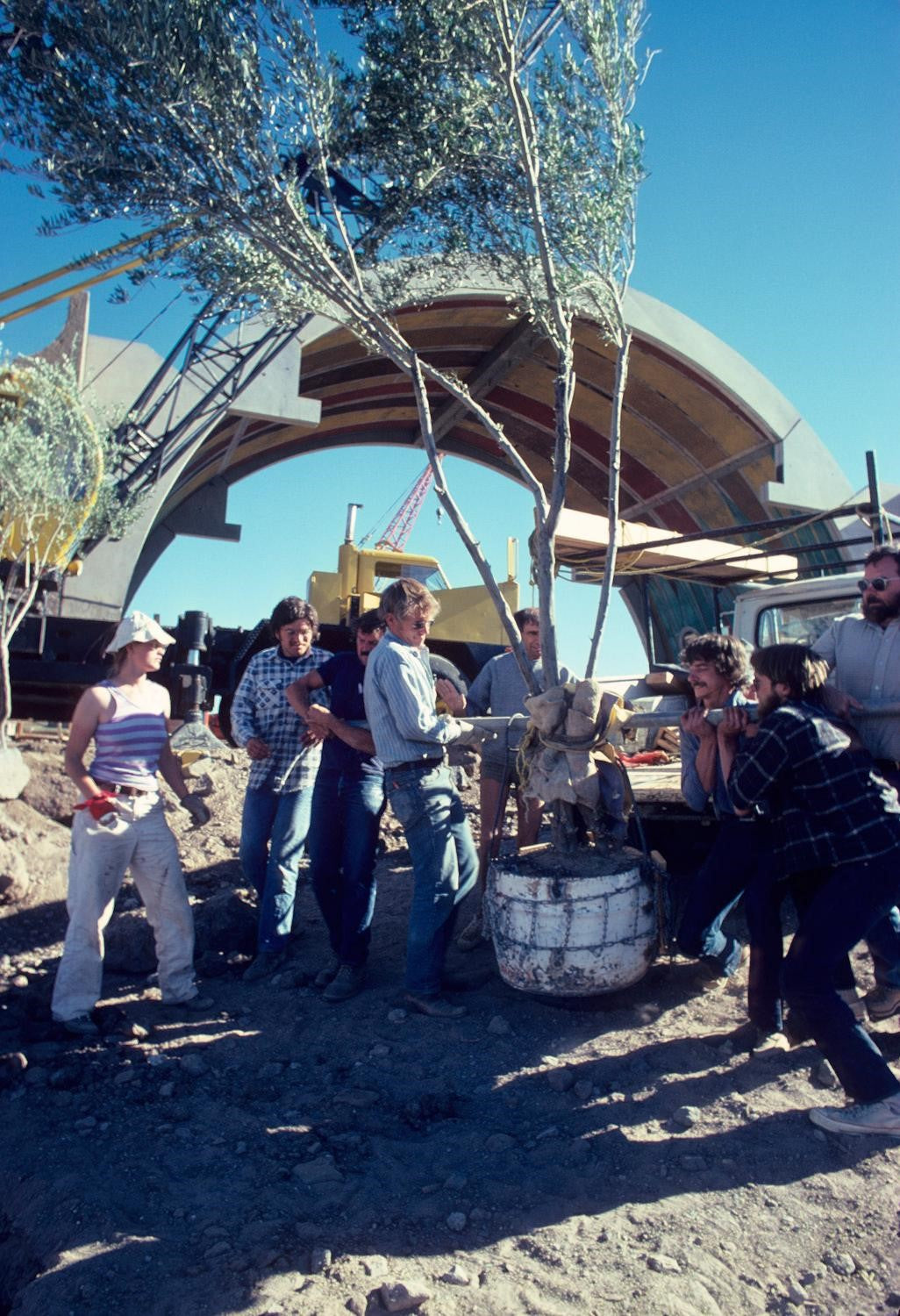 June 1st, 2021 Newsletter – Cosanti Originals