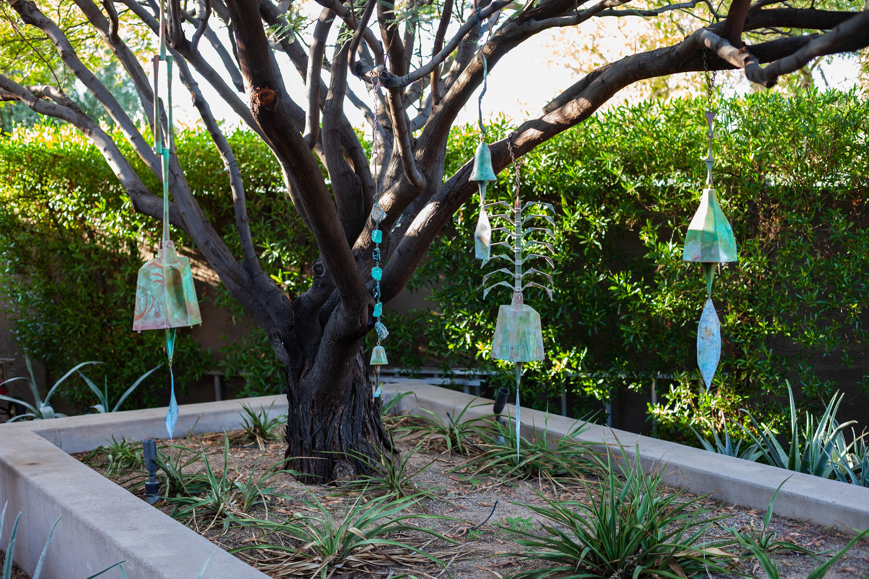 Phoenix Home & Garden: November 2022 Home Tour – Cosanti Originals