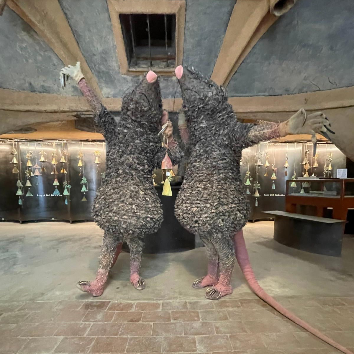 November 2022 Newsletter – Cosanti Originals